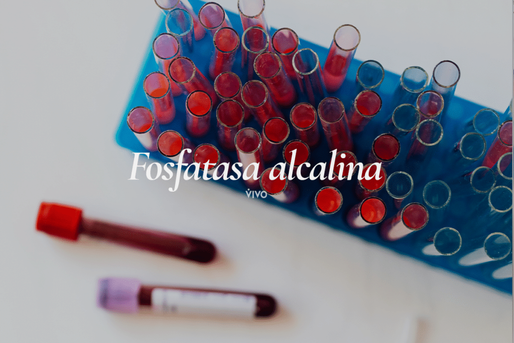 Fosfata Alcalina: ¿Qué indica el nivel alto o bajo? | Ailin